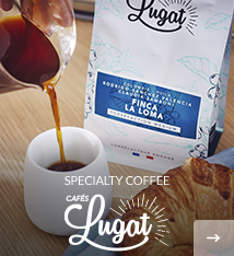 Esperto macchina da caffè, caffè e tè - MaxiCoffee