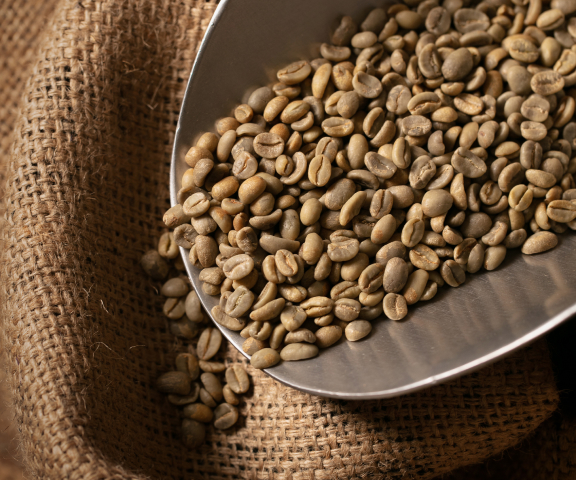 About Us: Learn More About MaxiCoffee.